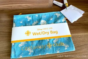 Guide to Disney Castaway Club: Membership Levels & Benefits